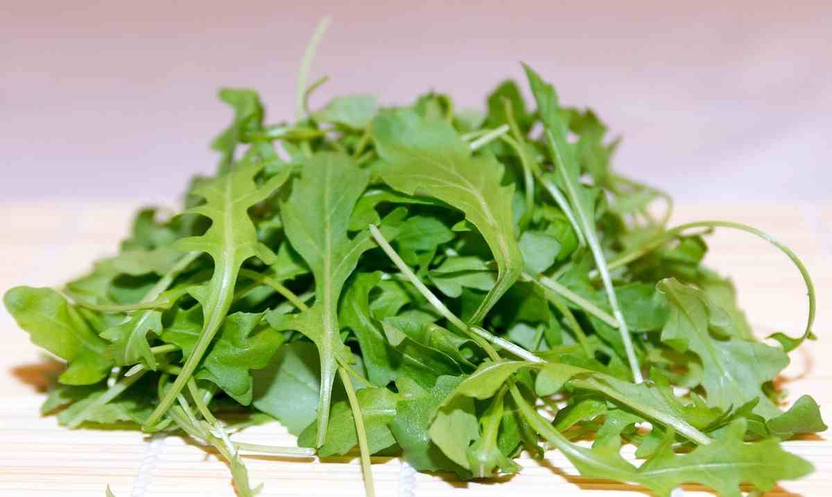 De ce este profitabil să cultivi rucola? - AGRO TV